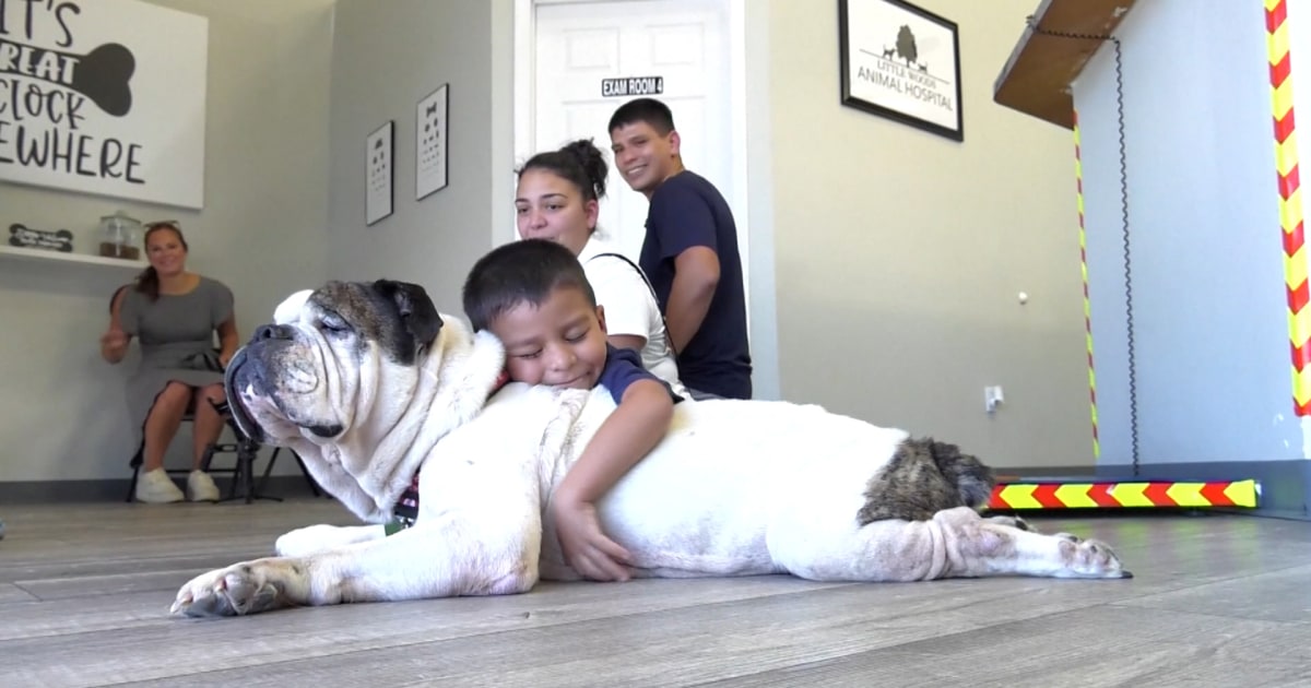 Dog named Milo reunited with his family in Arkansas after nine years