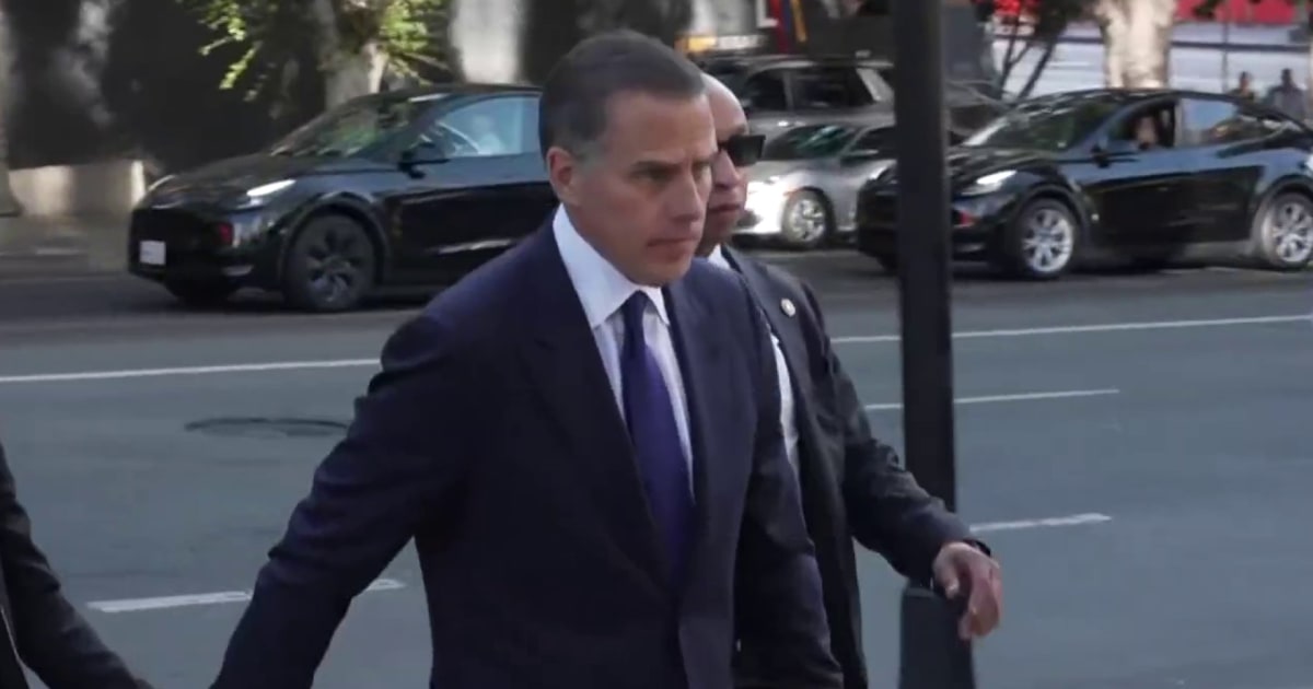 Hunter Biden pleads guilty to federal tax charges