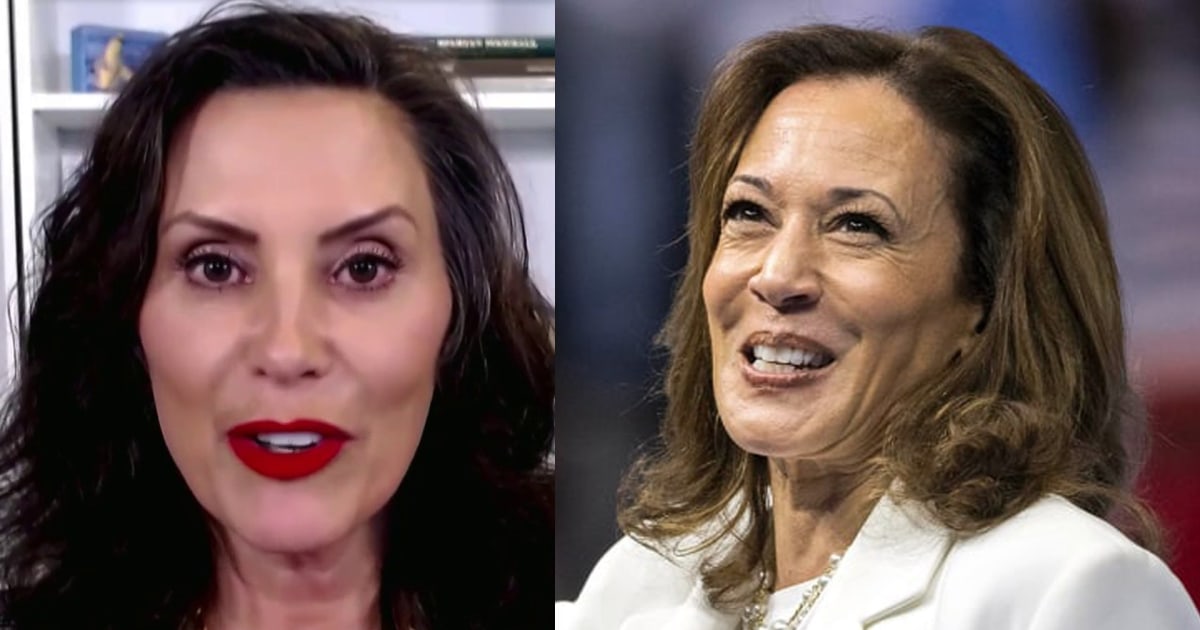 Gov. Whitmer shares what Harris is going to bring to the table in ...