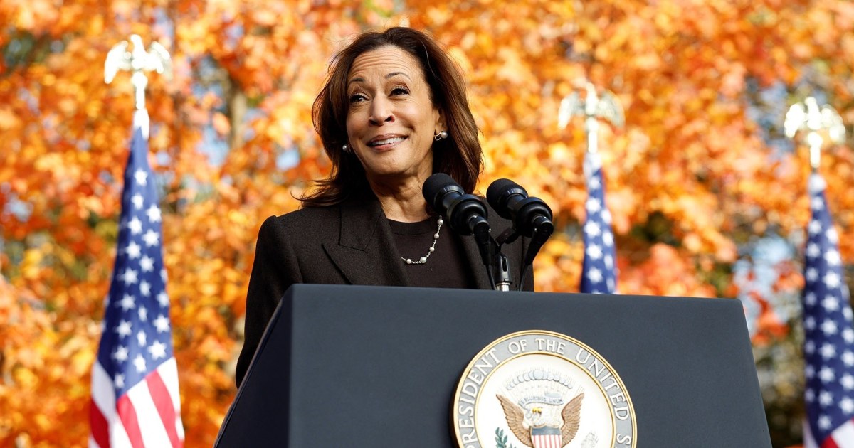 Harris calls Trump 'an unserious man' at Michigan rally