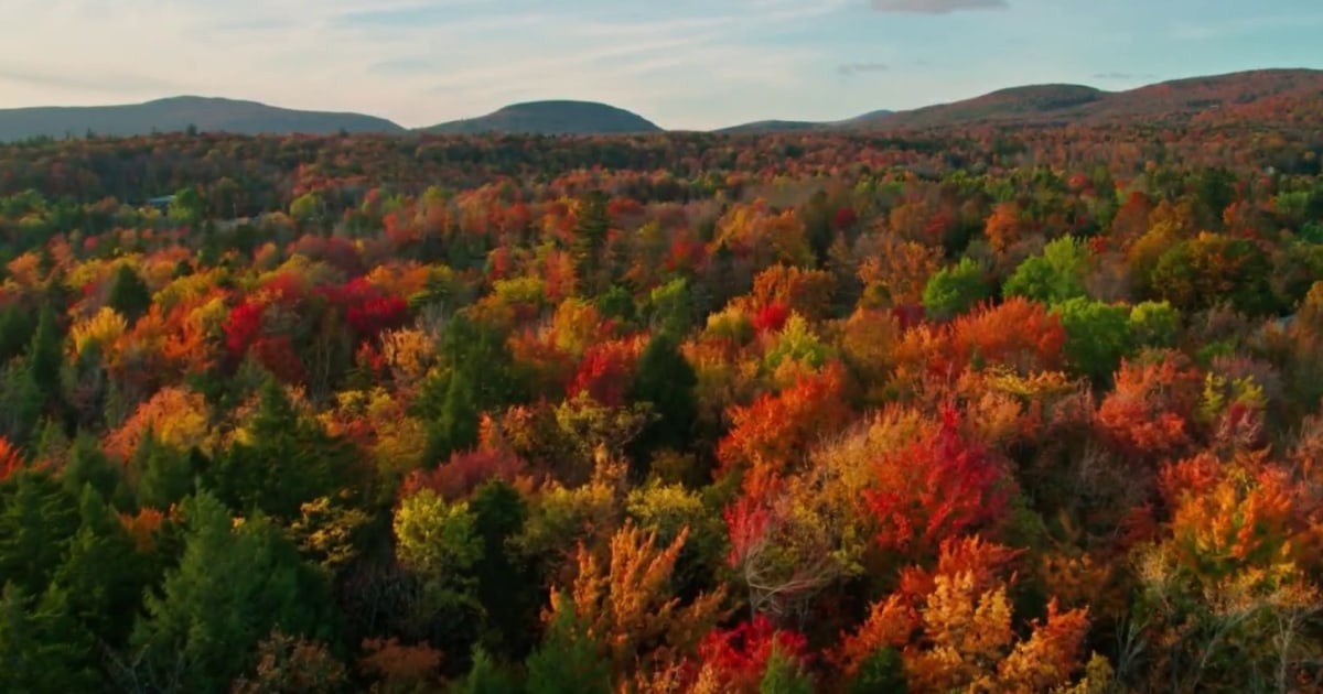 Good News: New view of fall foliage brings the colors alive