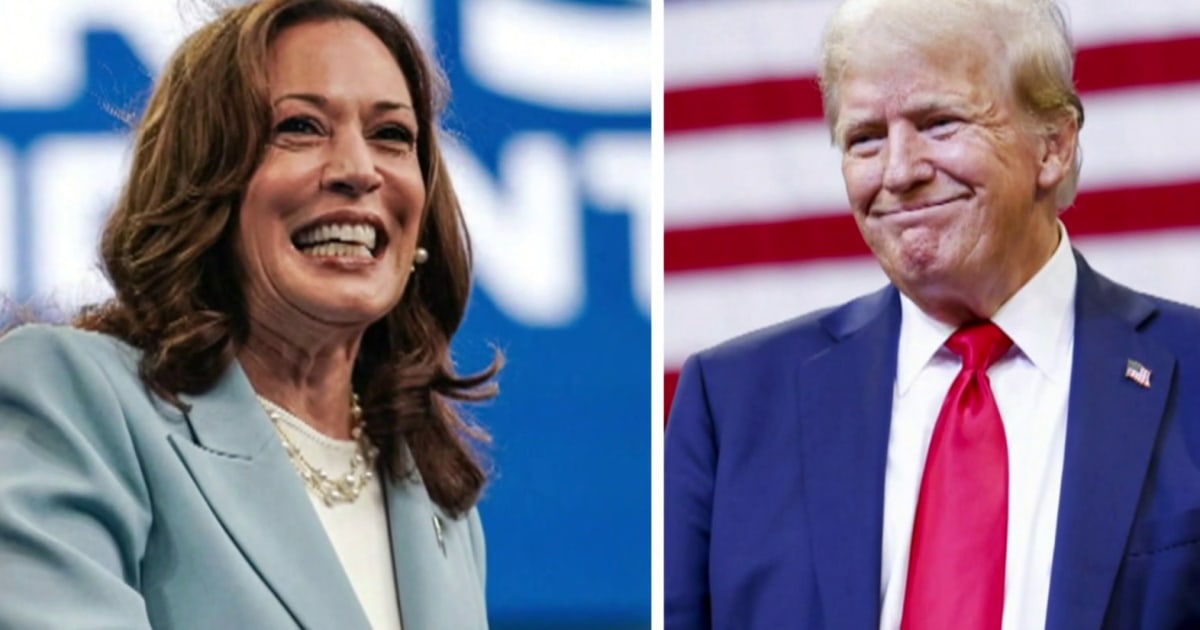 Breaking down Harris and Trump's different approaches to international ...