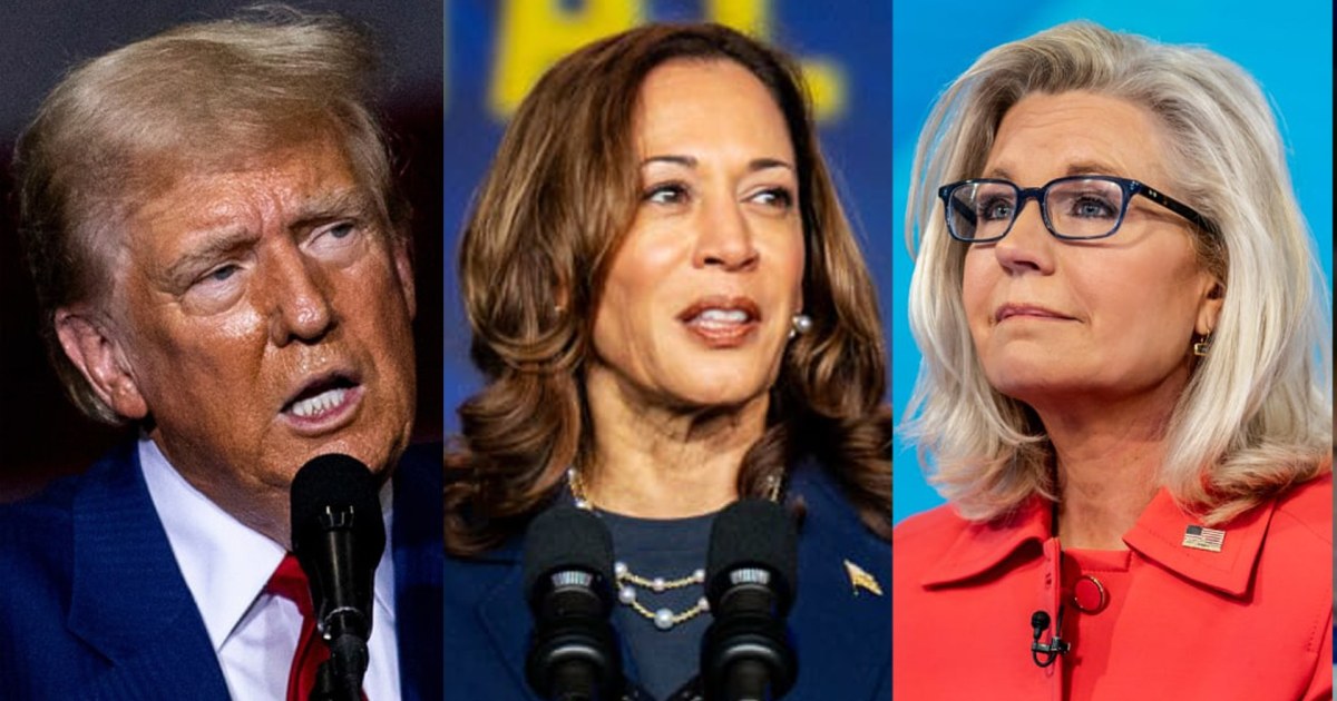 Harris amplifying Trump's dark rhetoric in hopes it turns off voters ...