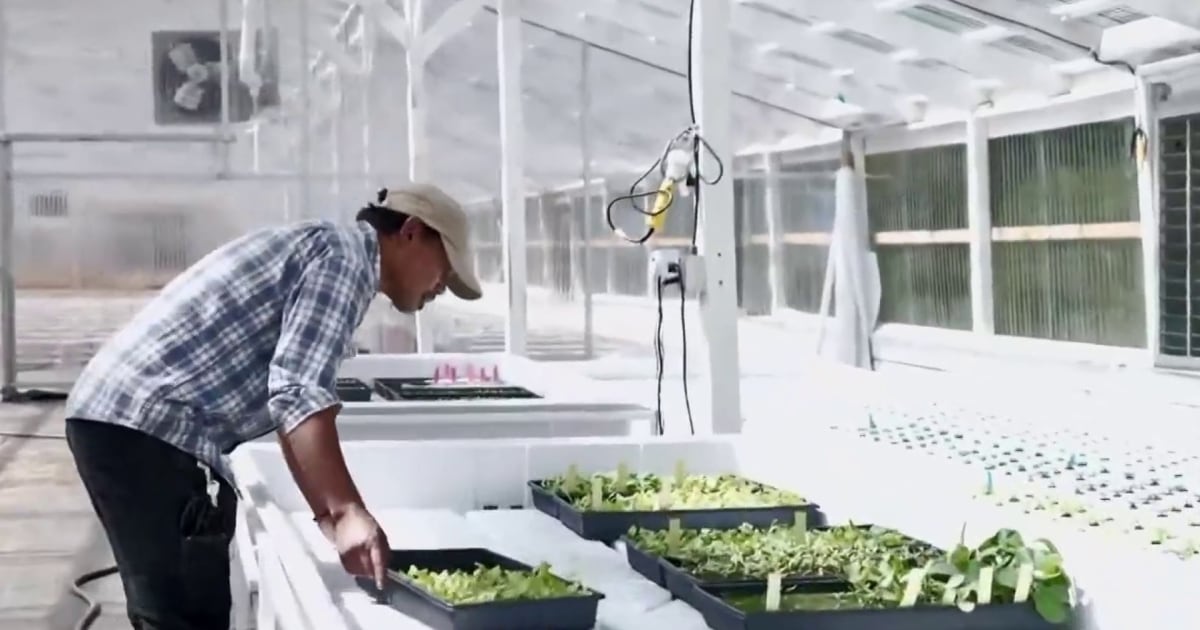Farming nonprofit helps farmers transition to sustainable agriculture
