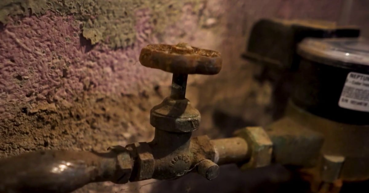 Tests reveal dangerously high lead levels in water for dozens of ...