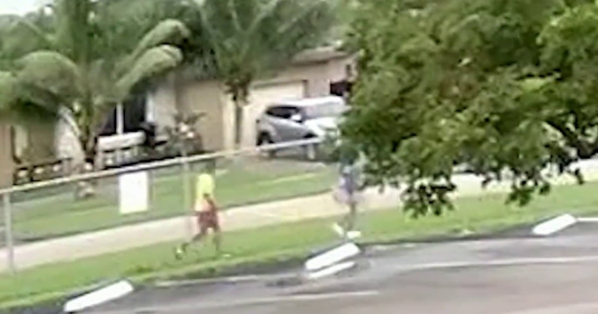 Suspect still at large after attacking Florida girl walking home from ...