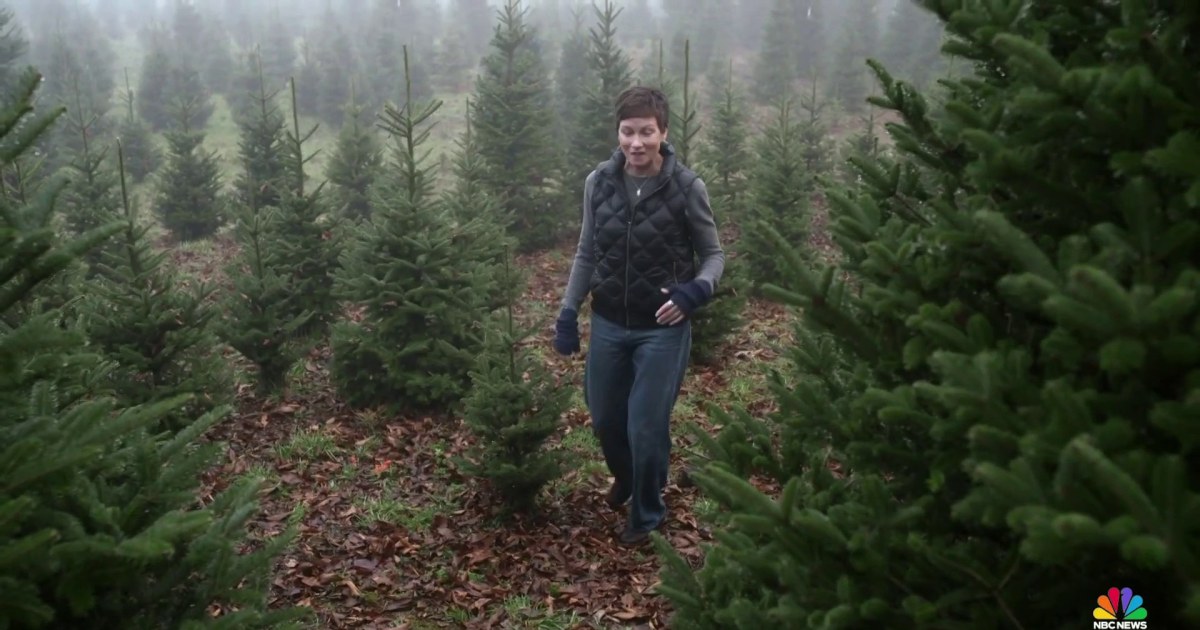 Good News: White House Christmas tree comes from North Carolina area ...