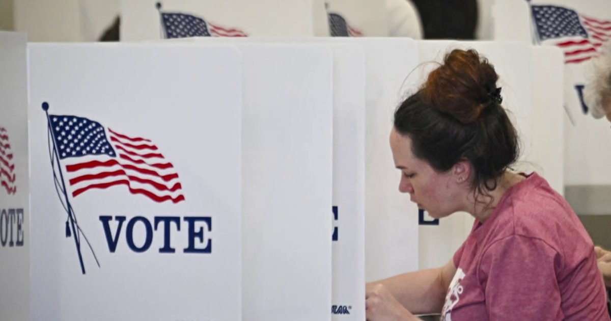 What the 2024 election polls got right and wrong