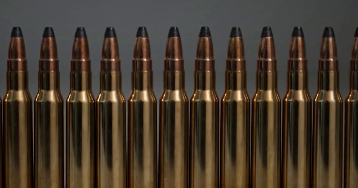 Witnesses describe South Carolina firing squad execution