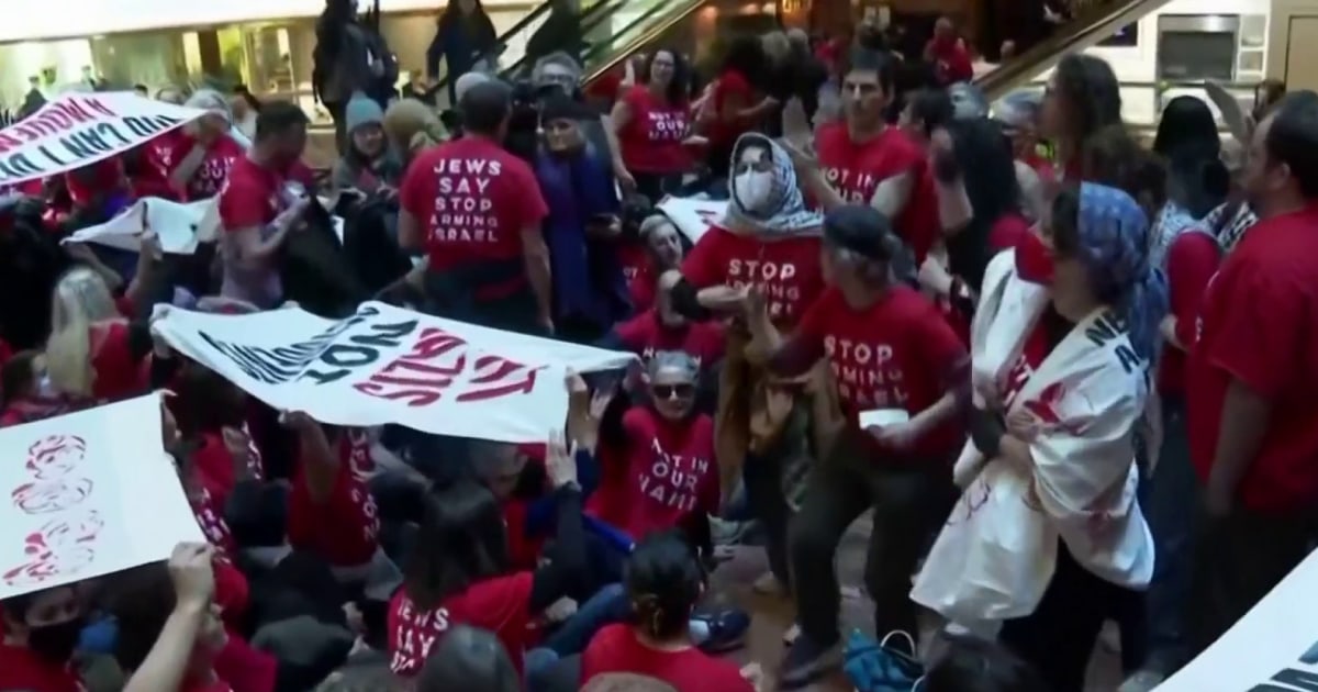 Pro-Palestinian protesters storm NY's Trump Tower