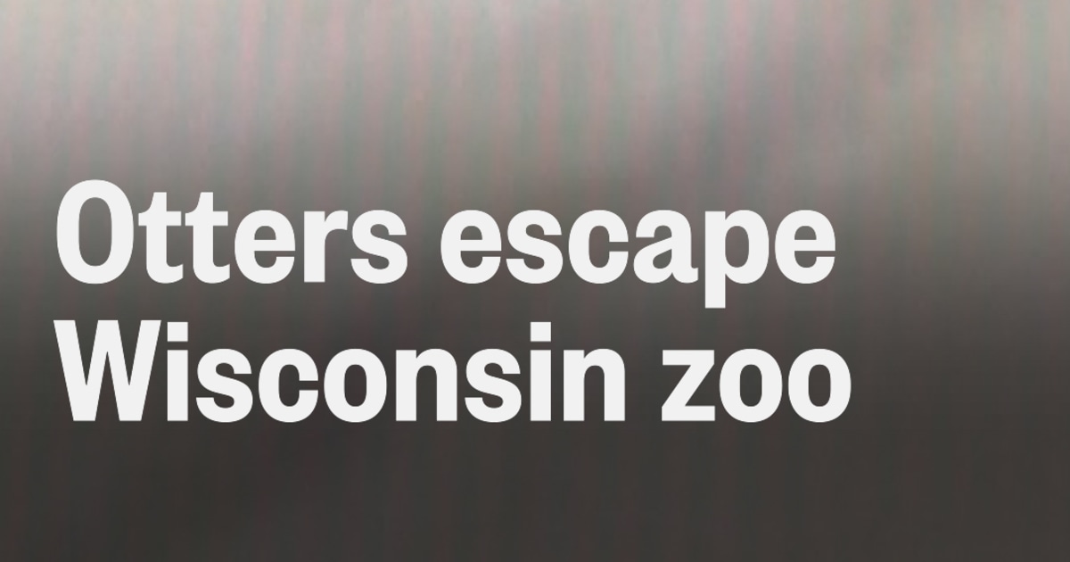 Otters escape Wisconsin zoo during snow storm