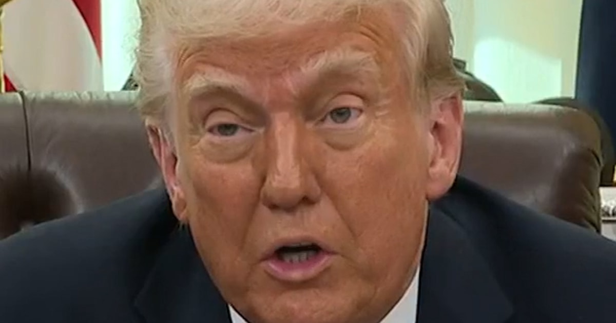 Trump calls Tesla attackers 'terrorists'