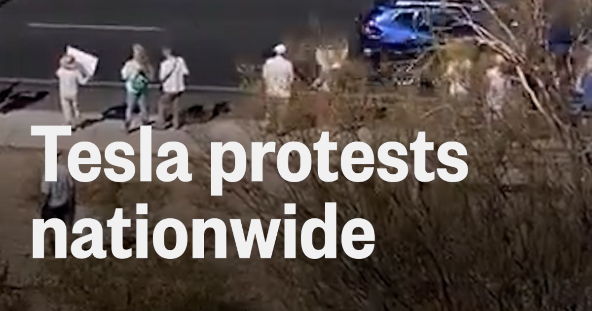 Dozens of protests held against Elon Musk and DOGE