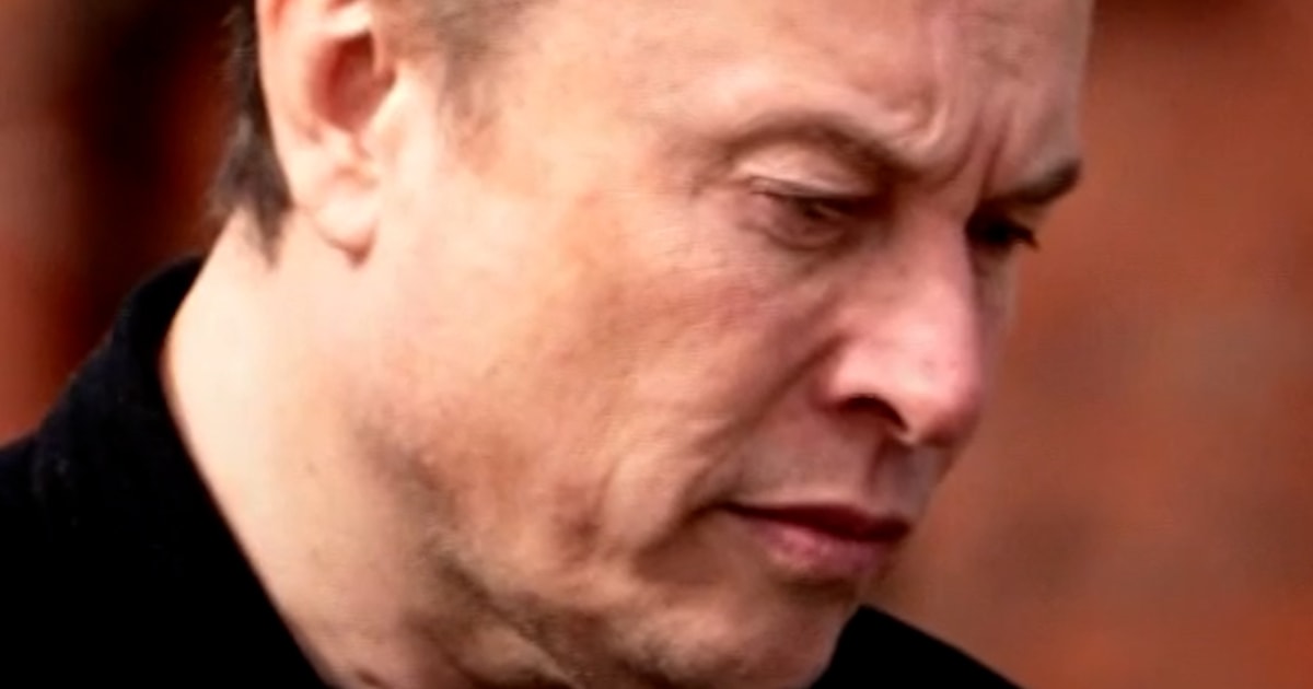 How soon could Musk step back from DOGE?