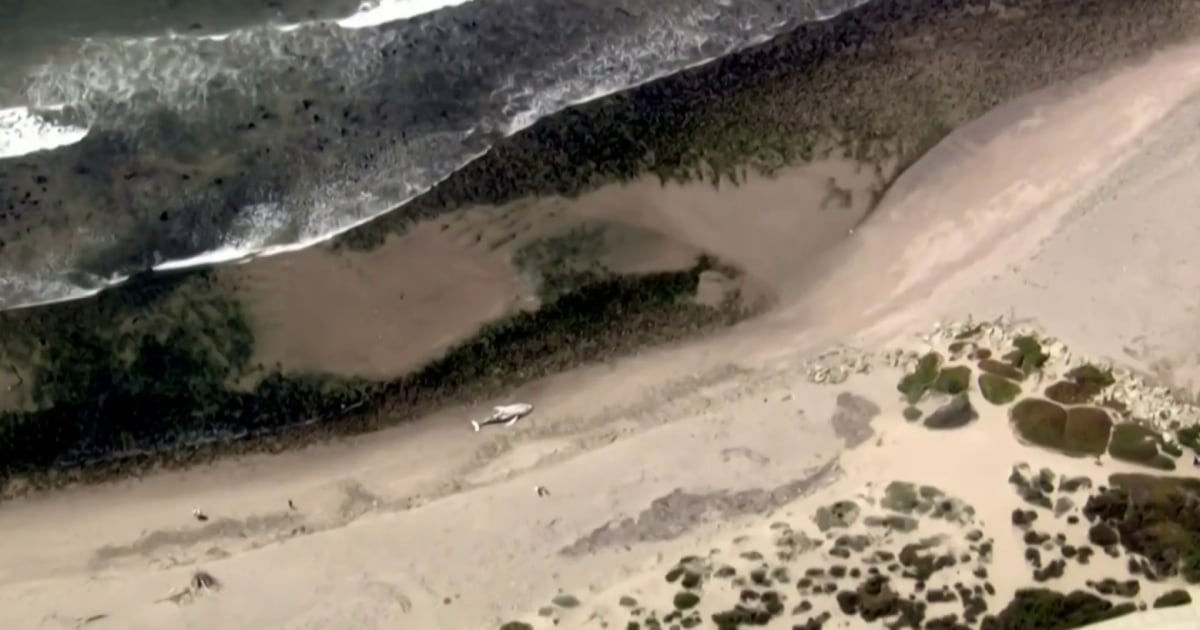 Scientist discusses potential causes of toxic algae outbreak in California