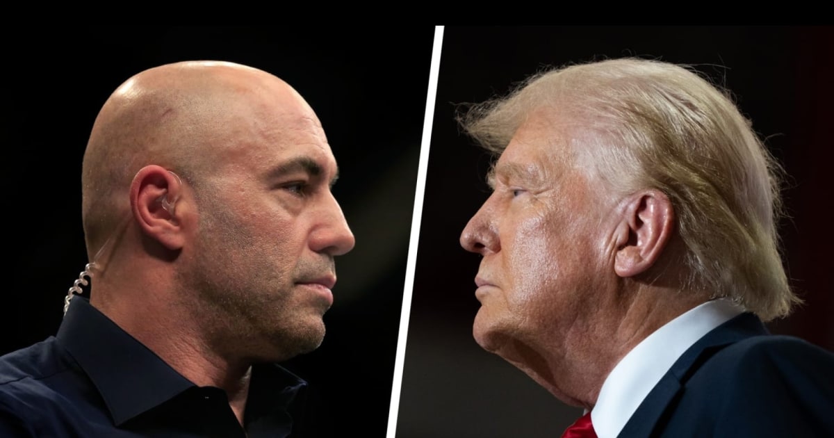 ‘They've Lost Joe Rogan’: Backlash grows against unconstitutional acts ...