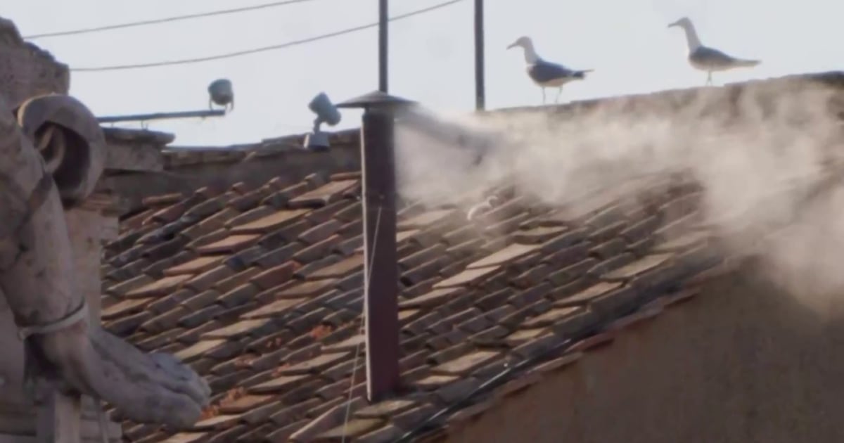 Watch: White smoke from Vatican's Sistine Chapel indicates new pope elected