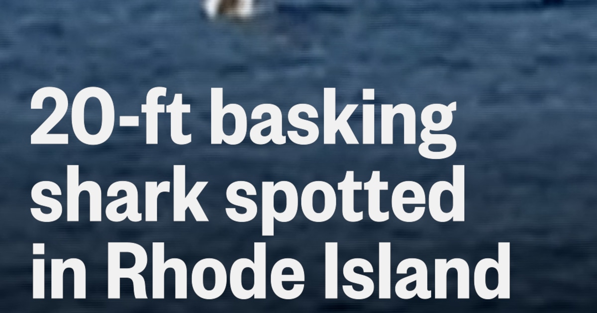 20-foot basking shark spotted near Rhode Island