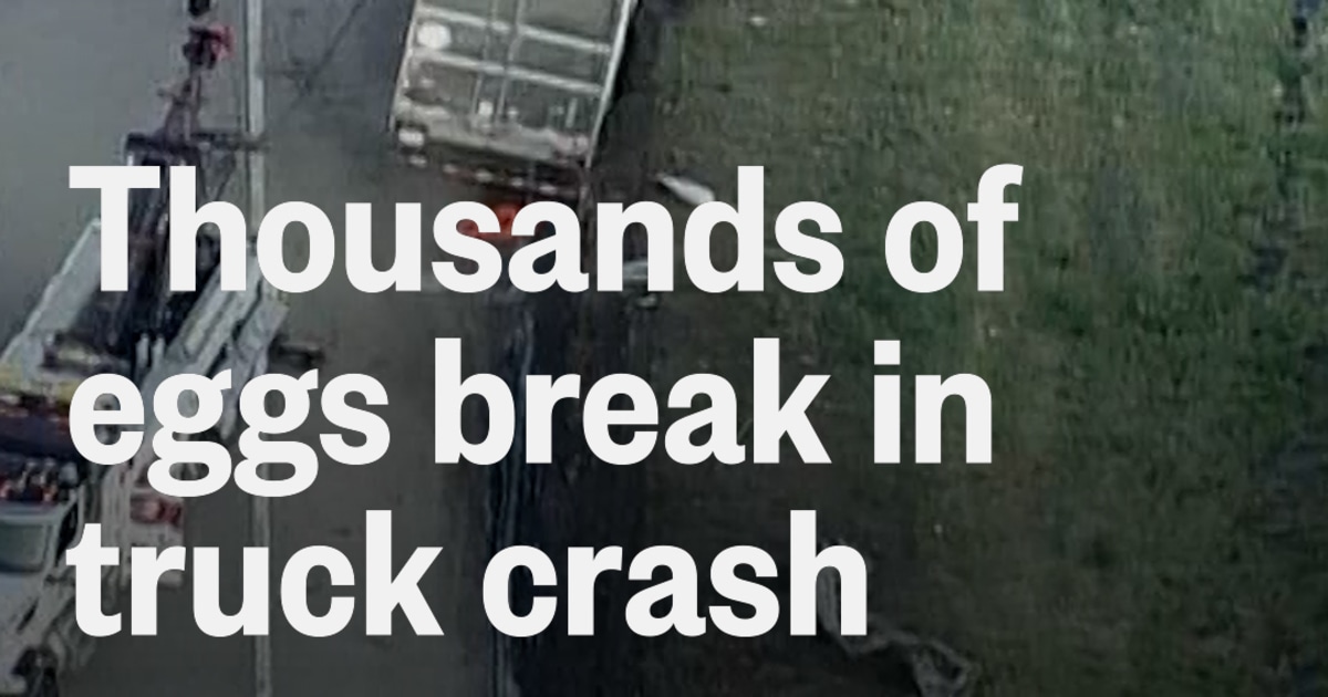 Semi-truck crash cracks thousands of eggs