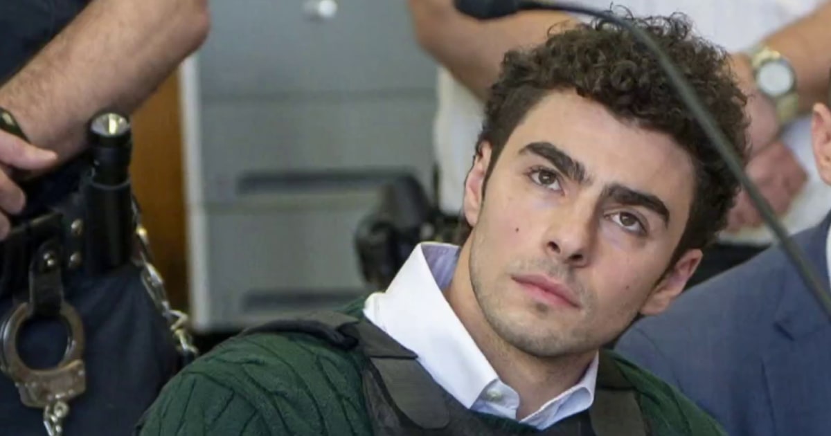 Luigi Mangione’s alleged diary entries reveal motive for killing CEO ...