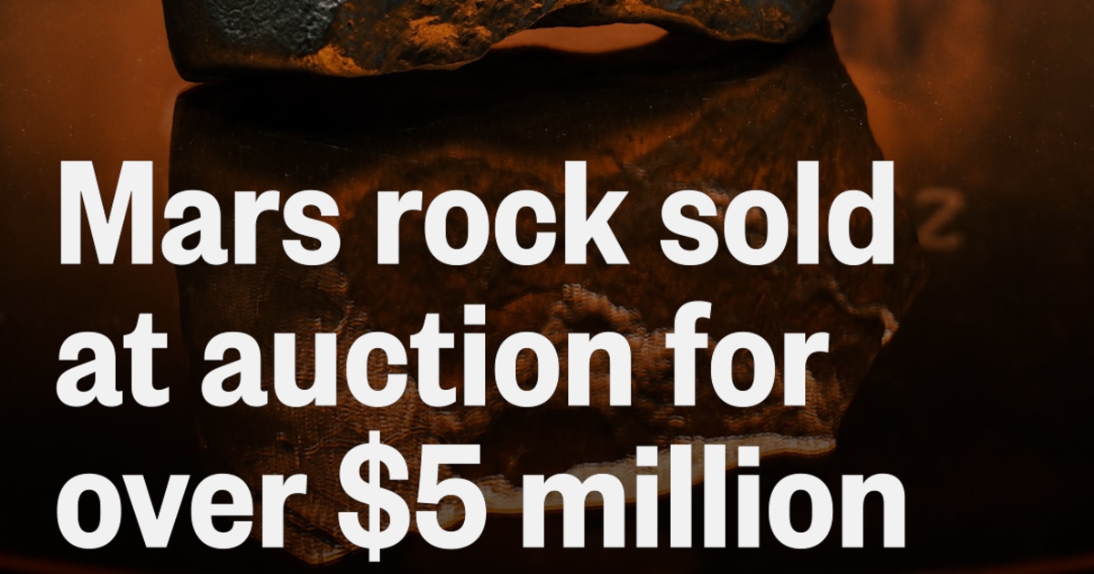 Mars rock found on Earth sold for over $5 million