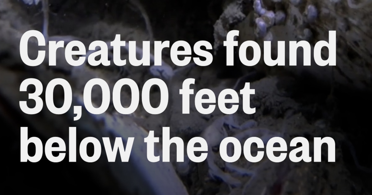 Creatures discovered 30,000 feet below the ocean