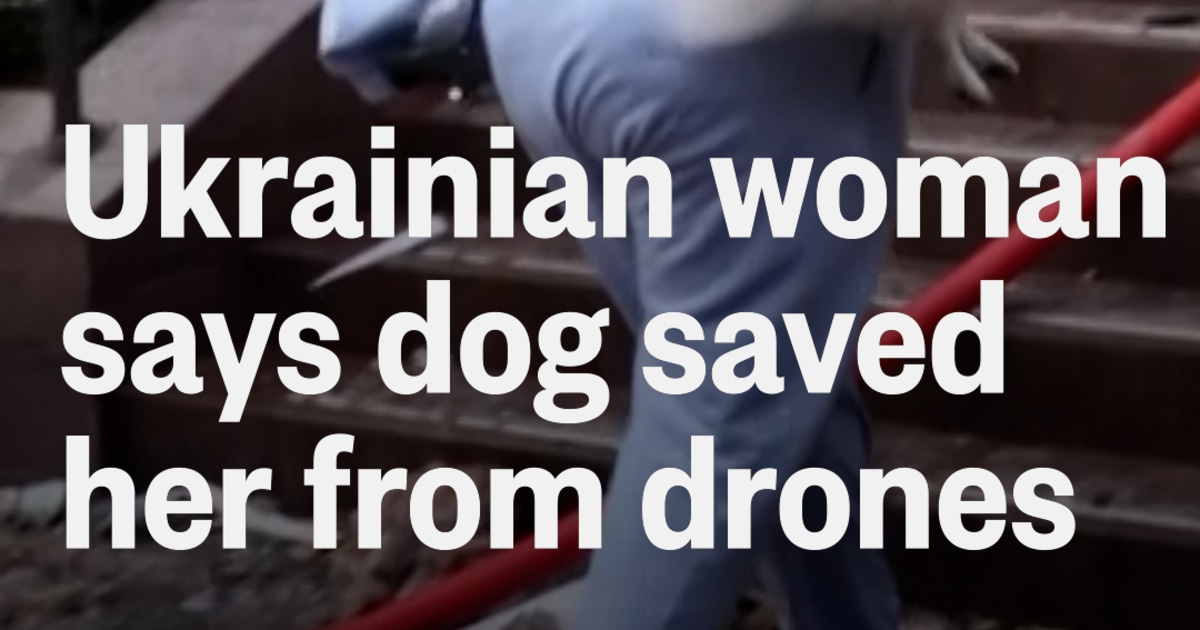 Ukrainian woman says dog saved her from Russian drones