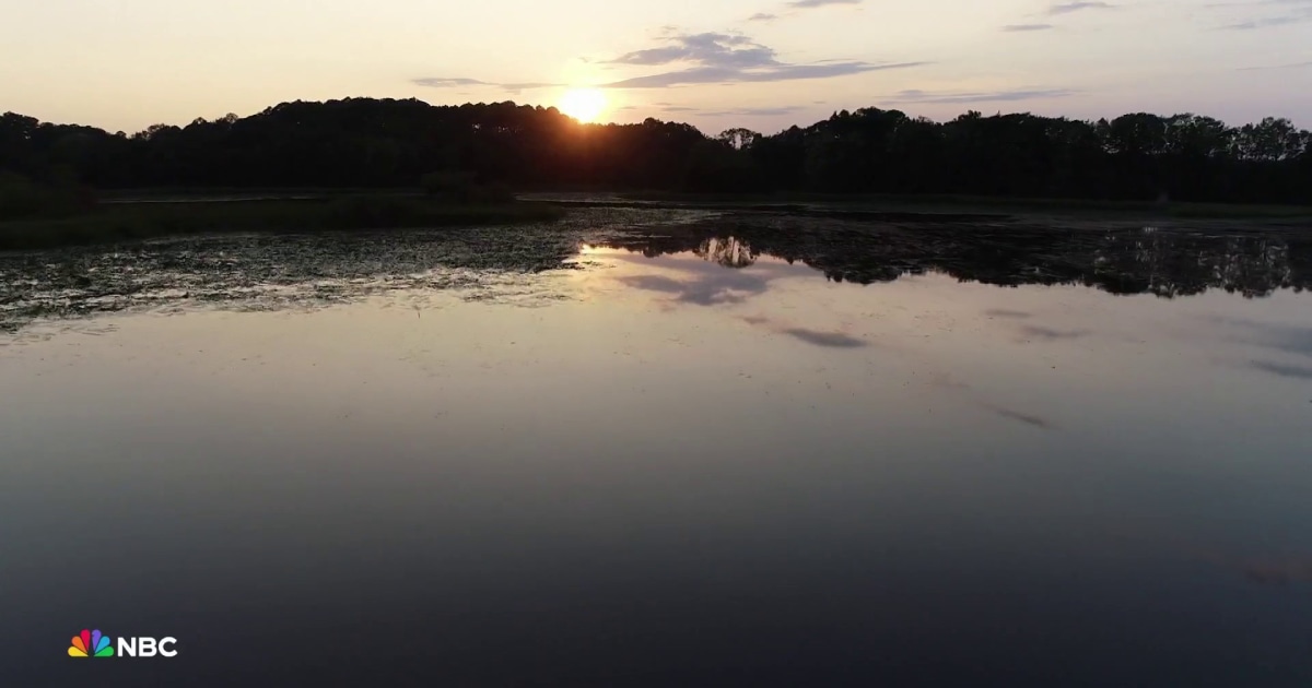 Secrets of Lake Seminole, Part 2