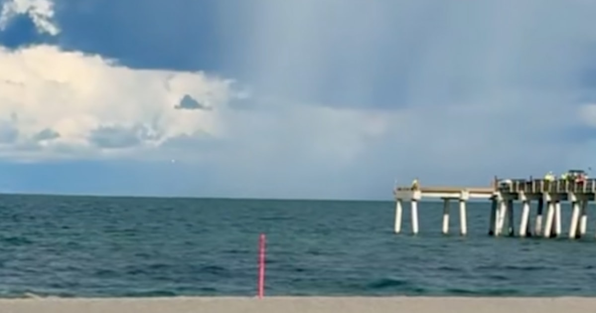 Video captures bobcat encounter on Florida beach