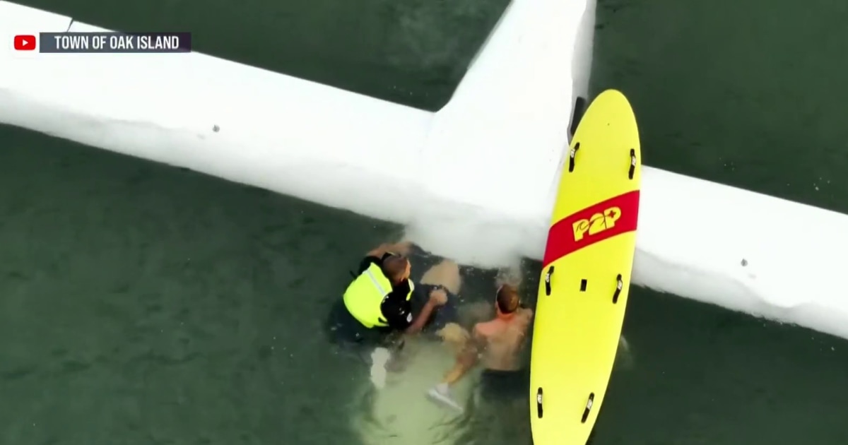 New video shows dramatic pilot rescue
