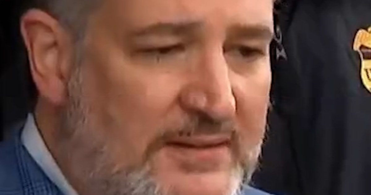 Cruz after ICE office shooting: ‘This needs to stop’