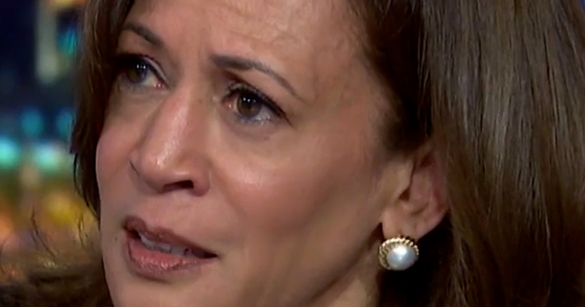 “I know his type”: Harris reflects on running against Trump