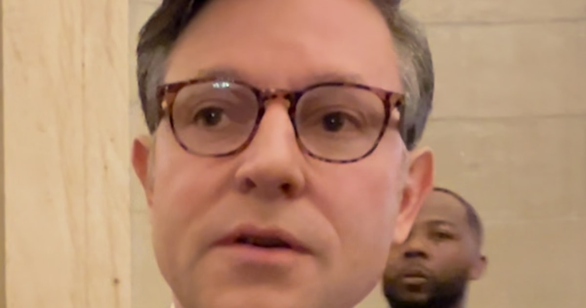 Mike Johnson describes security measures for Congress