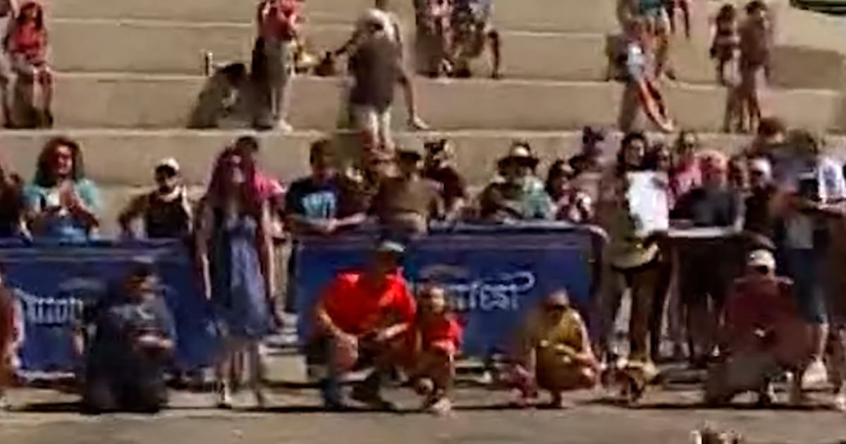 The fight to be the fastest wiener dog in Cincinnati