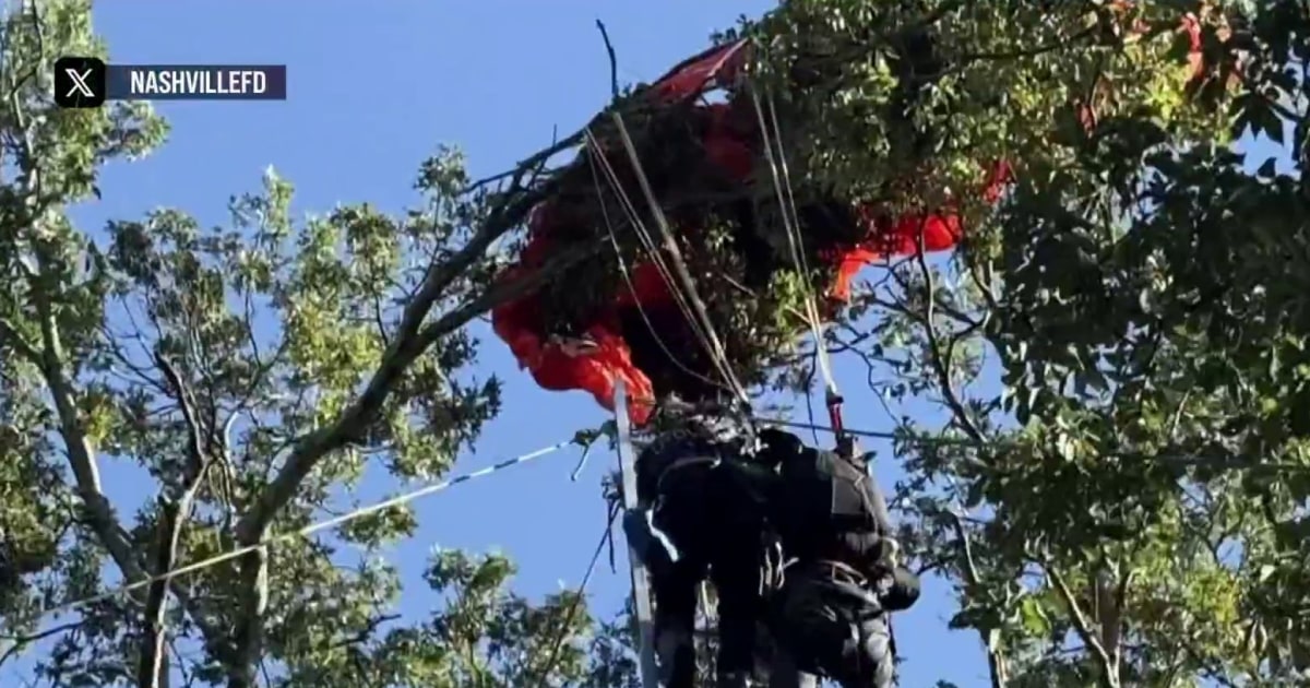 Nashville Skydiving Accident: New Details Emerge - News Usa Today
