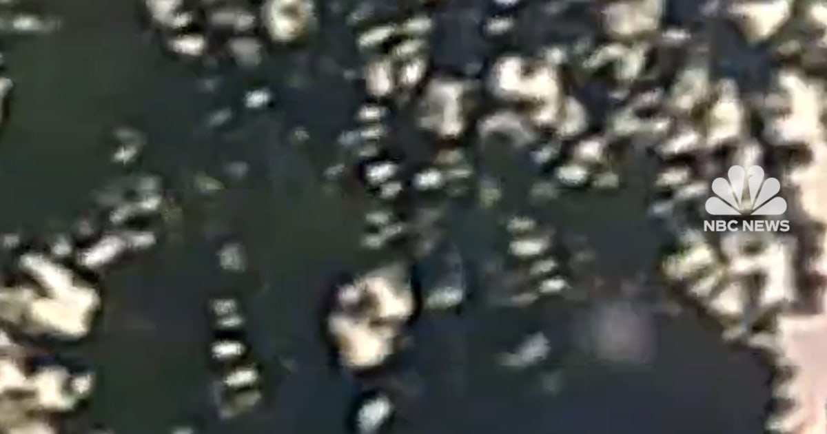 Dashcam video shows shots fired in high-speed car chase