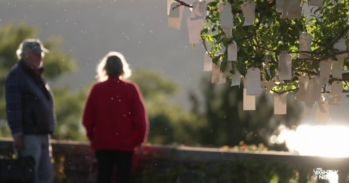 Yoko Ono ‘Wish Tree’ in Full Bloom