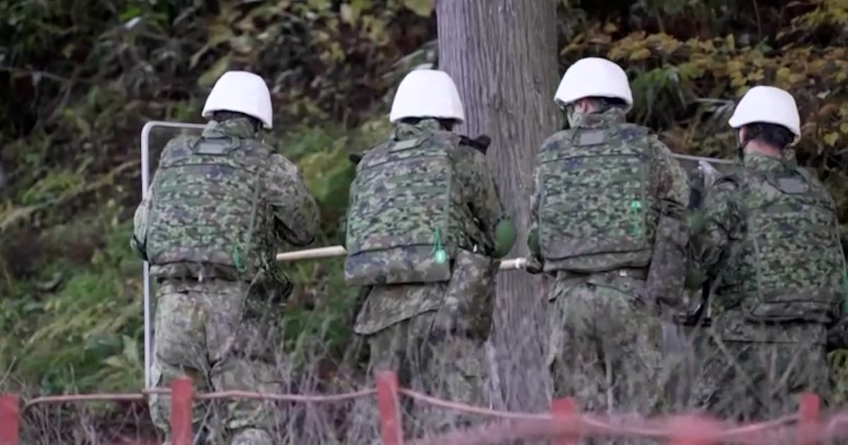 Japan sends troops to combat wave of deadly bear attacks