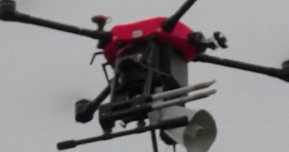 Japanese town turns to barking drones to deter bears