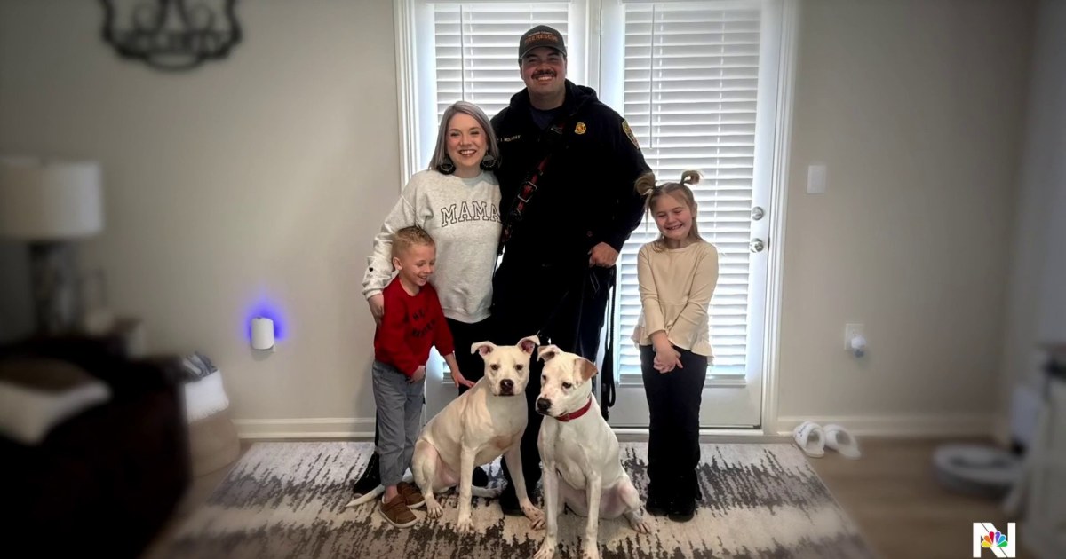 Firefighter who saved puppies in house fire adopts them