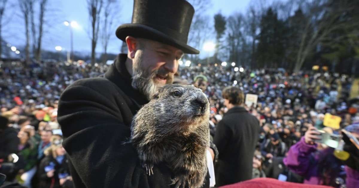 Punxsutawney Phil predicts six more weeks of winter on Groundhog Day