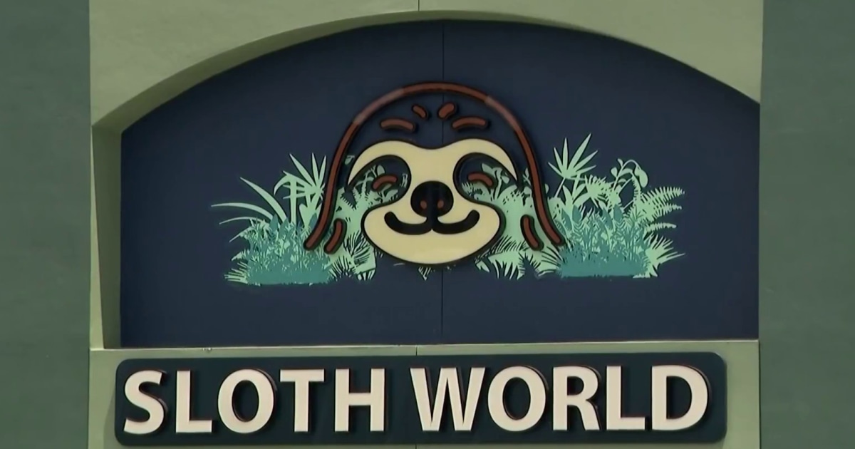 Calls grow to shut down planned Sloth World attraction after 31 sloth ...