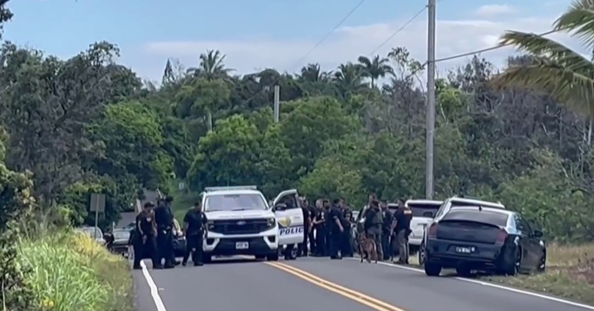 Hawaii police arrest suspect linked to three deaths