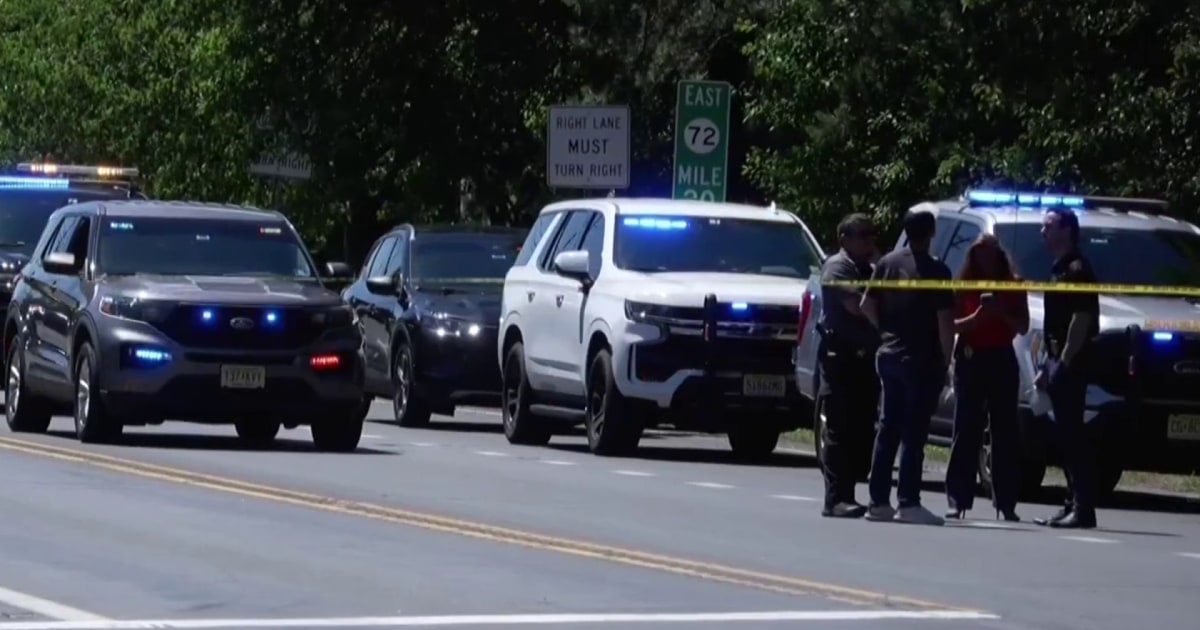 ICE agent fires shots after being hit by van in New Jersey, police say