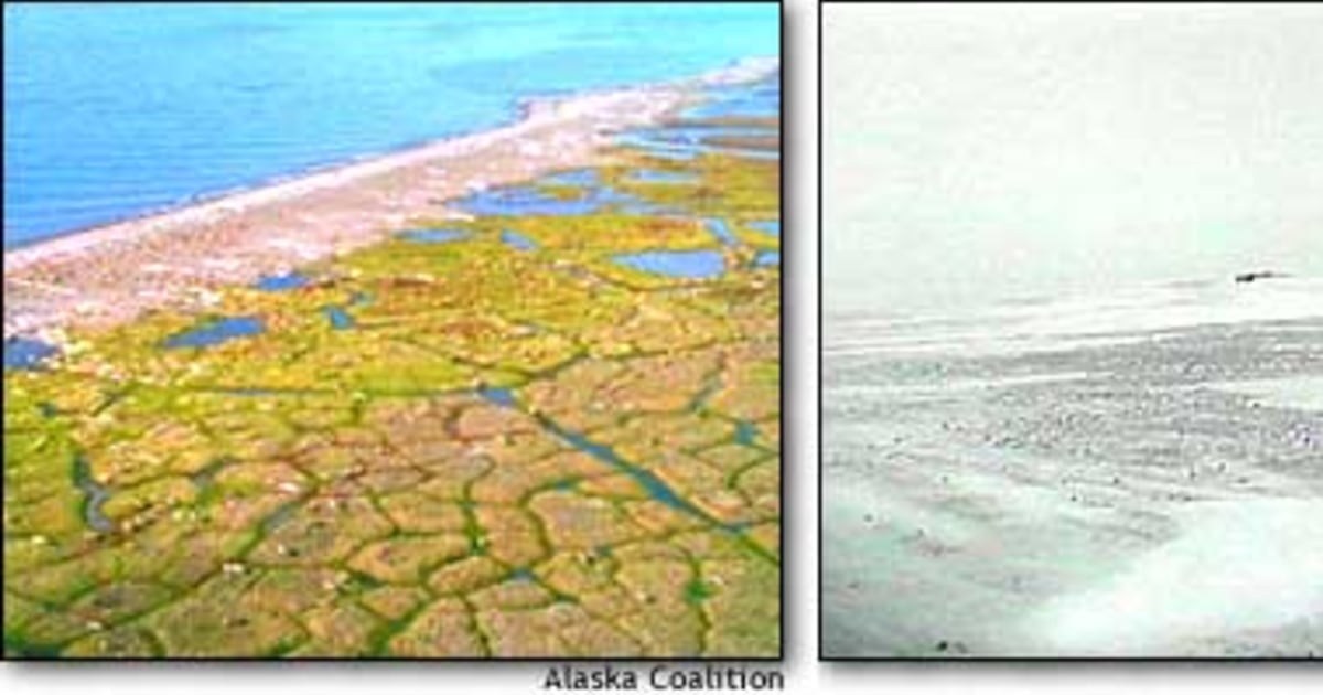 Panel: Alaska drilling has pros, cons