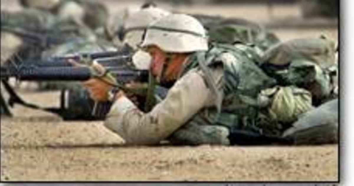 Desert Storm II: The sequel