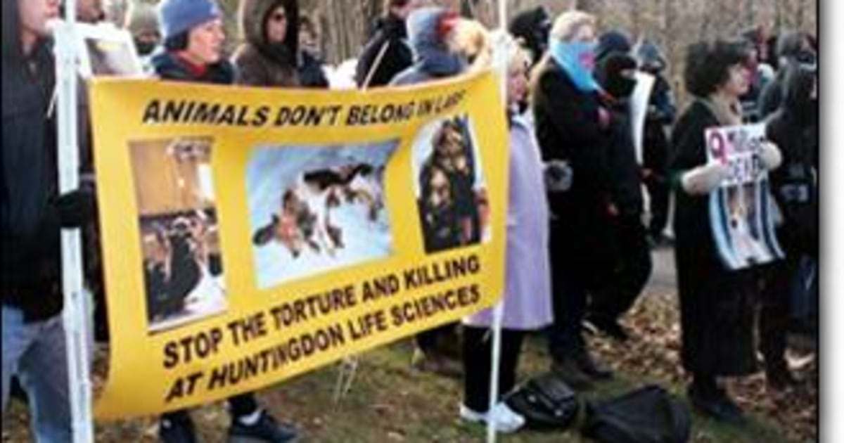 New activism: Up close and personal