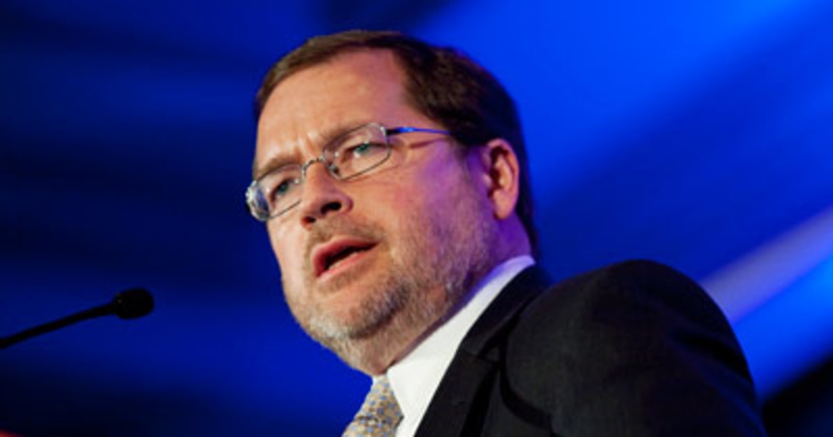 Top Republican rebels against Norquist tax pledge
