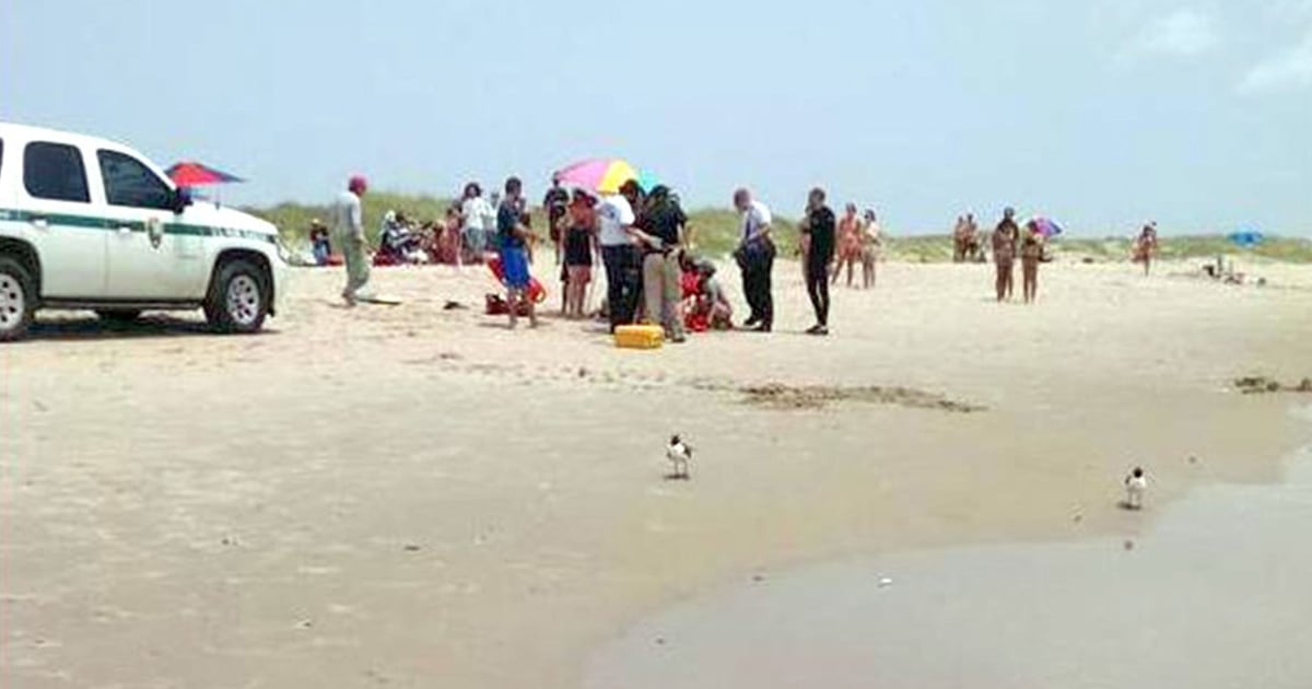 Another Shark Attacks Swimmer Off The North Carolina Coast