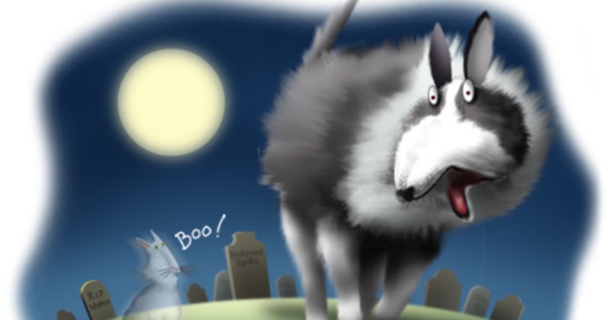 Howling haunts: Where ghost pets play